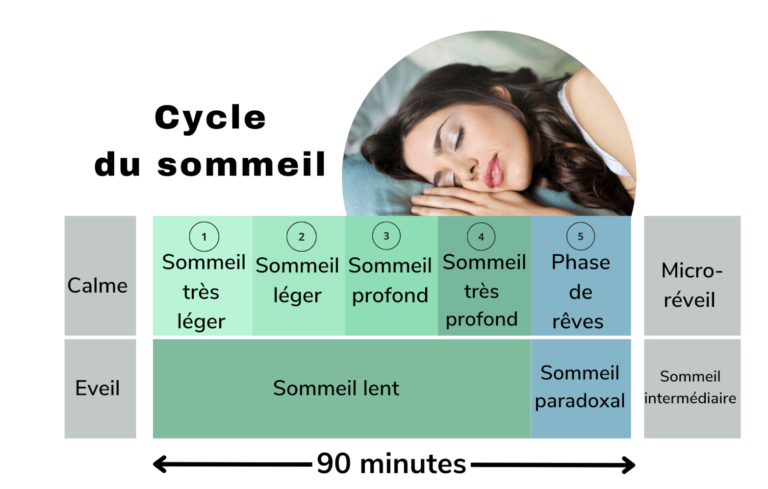 Le sommeil et les cycles : kezako ? - CODIFRA Le sommeil et les cycles : kezako ? - CODIFRA